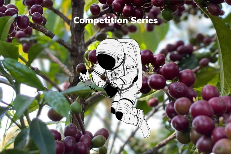 Tamiru Tadesse - Alo Traditional Washed – Genesis Coffee Lab